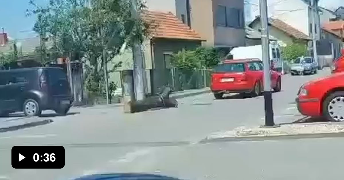 This is daily Bulgaria for you. (Also wait a bit, it gets funny at the ...