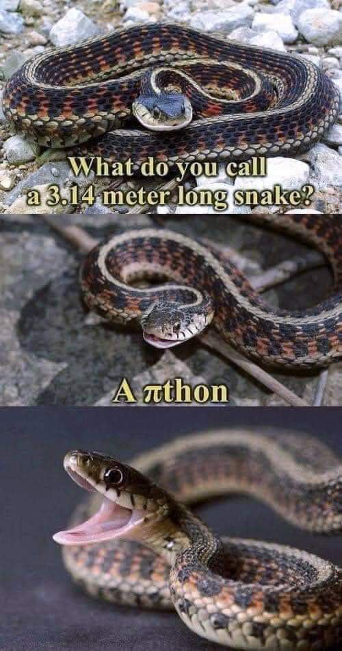 And his favourite tv show is Monty Python - 9GAG