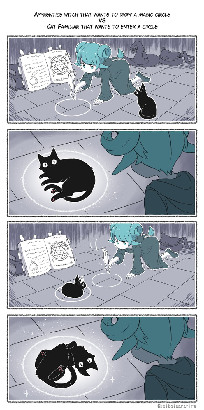 Witch & cat - 9GAG