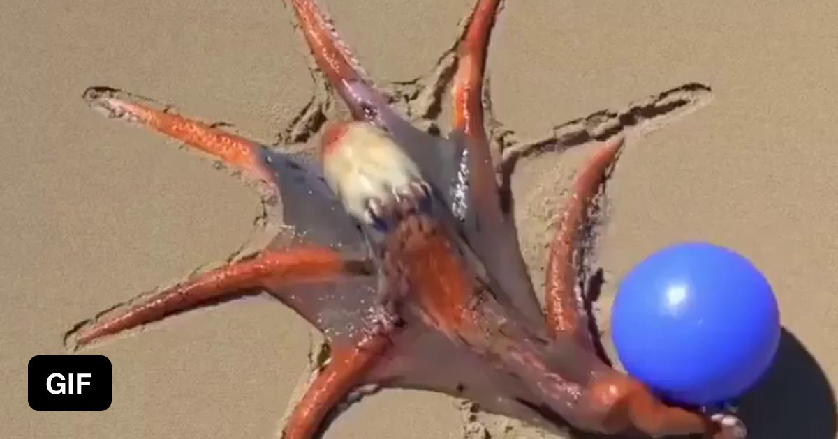 This isn't real - it's CGI - 9GAG