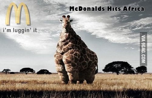 I'm lugging it - 9GAG