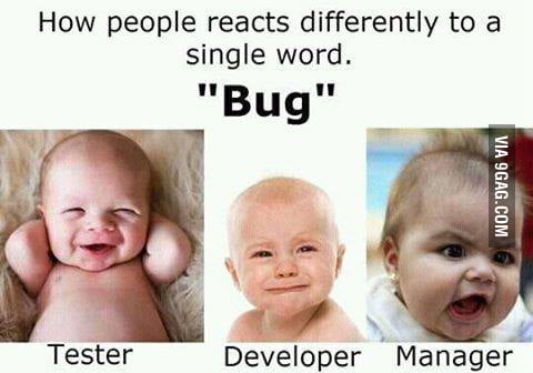Software Bug Meme