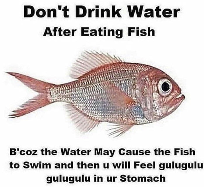 Fish. - 9GAG