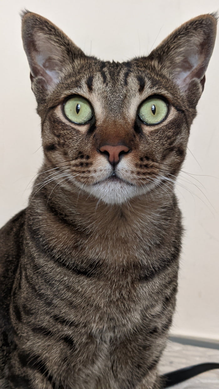 This is Candy! I live in a different state and he was the only ...