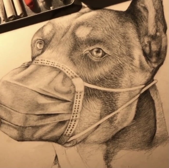 Drawing of my doggo in a mask (Work in progress) - 9GAG