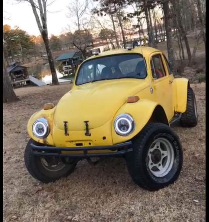 Yellow bug having an existential crisis - 9GAG