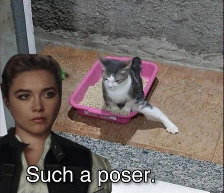 Poser Girl Memes Avril Lavigne Wikipedia