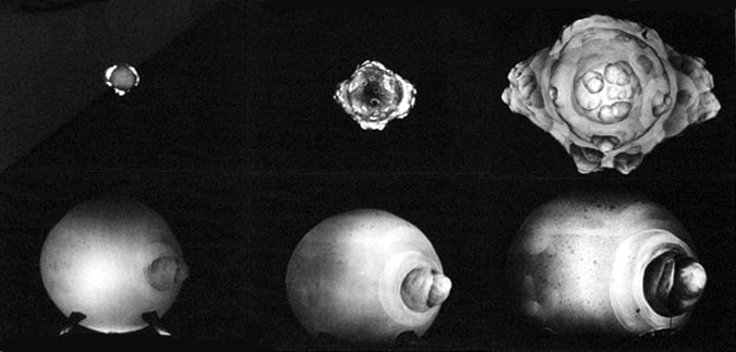 That’s the evolution of an atomic bomb explosion, captured with a ...