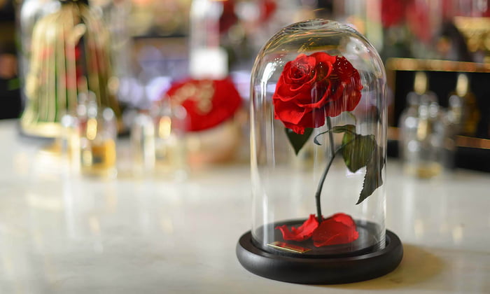 Forever Rose London, A luxury florist in Dubai has created roses that ...