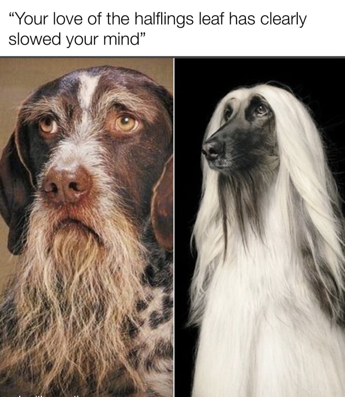 He is a foolish fellow - 9GAG