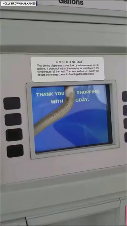 Machine running on python - 9GAG