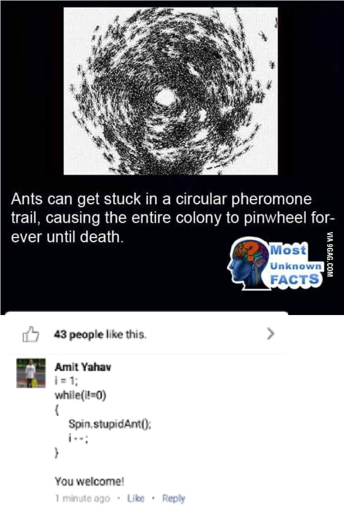 Goog guy software engineer - 9GAG