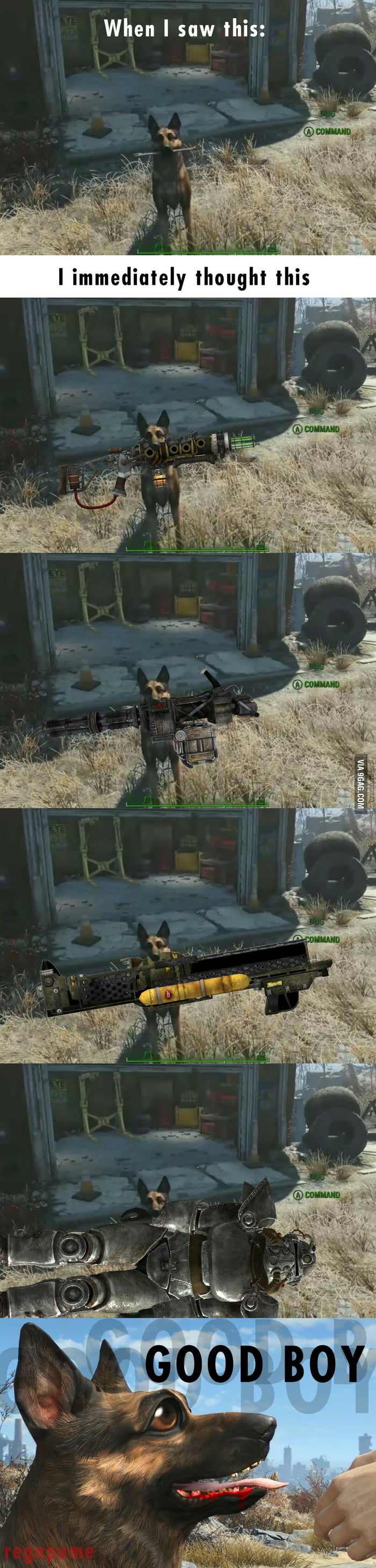 Good boy! - 9GAG