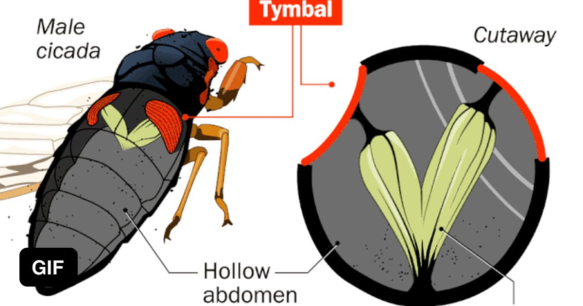 Insects are f**king weird. - 9GAG