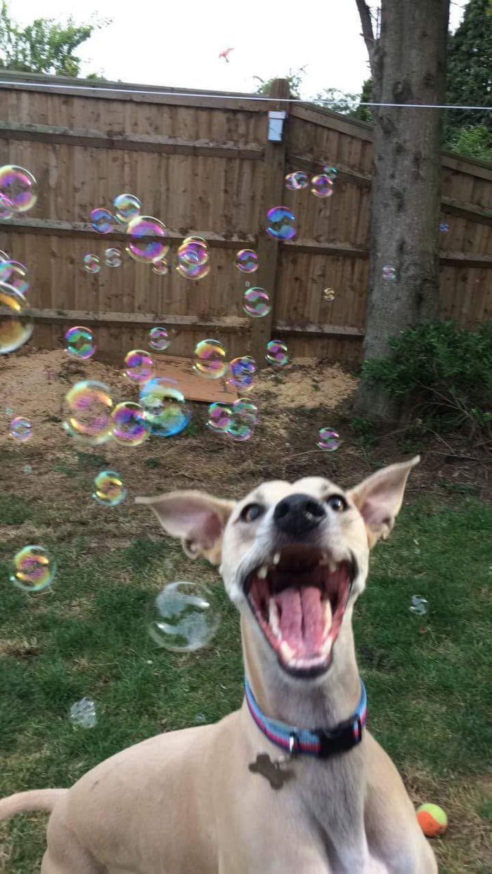 Bubbles!! - 9GAG