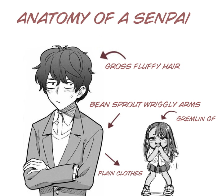 Anatomy of a senpai for future reference - 9GAG