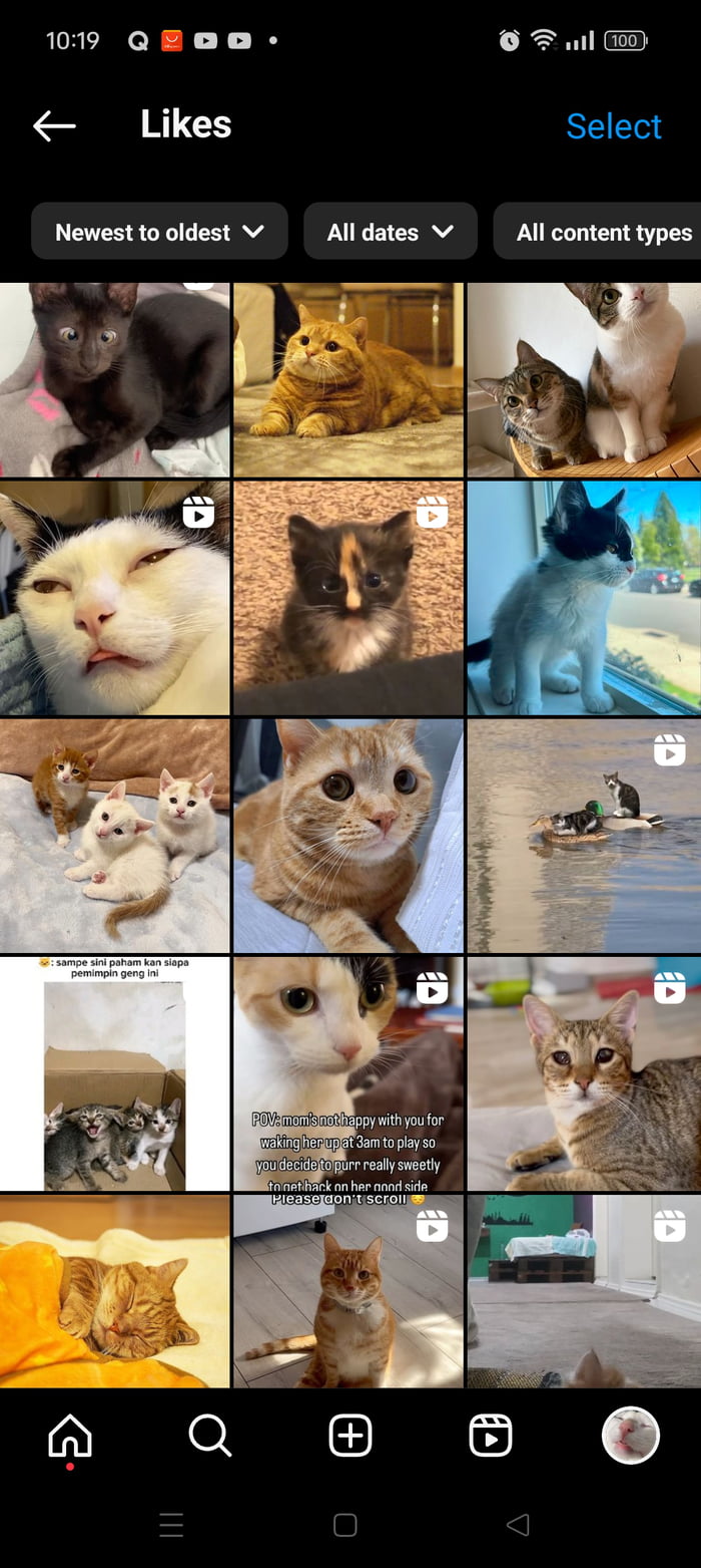 I started using Instagram recently after a decade of Instagramless ...