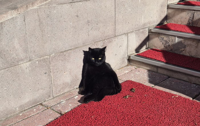 A void chilling under the sun while resting his back on the wall - 9GAG