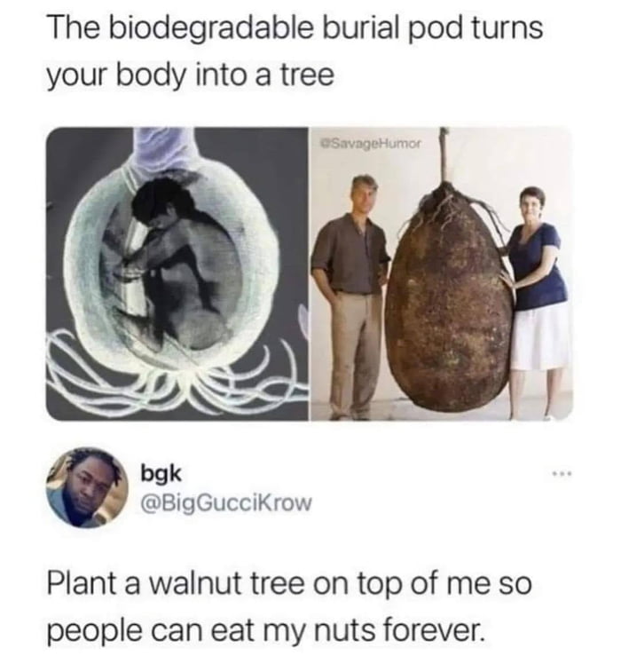 Lol this is crazy - 9GAG