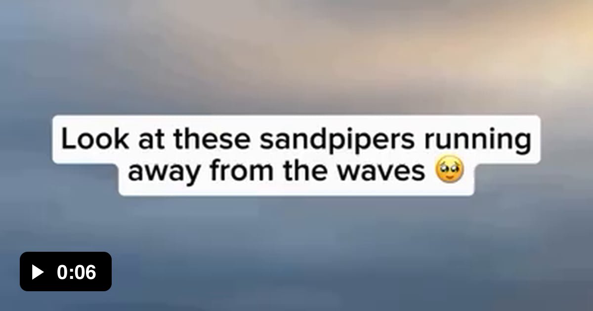 The 8 meter dash - 9GAG