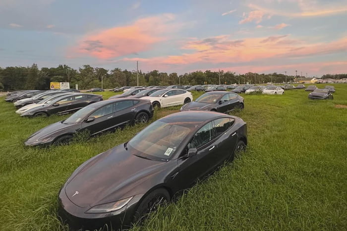 Tesla's grazing with electric cars abandoned in overgrown field - 9GAG