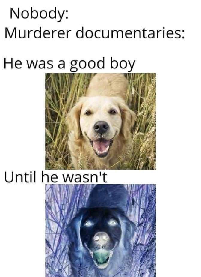 Good boy - 9GAG