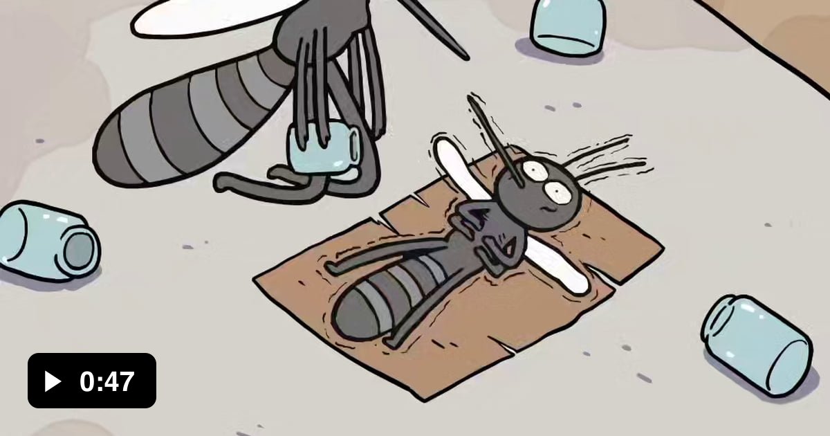 Buzz buzz buzzzzzz - 9GAG