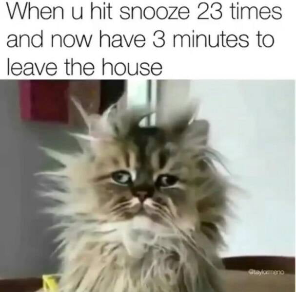 Dont hit the snooze - 9GAG