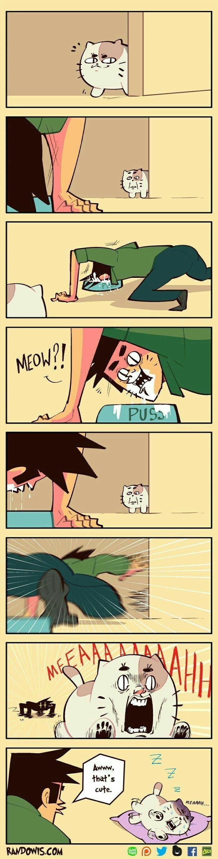 I wonder what my cat dreams about - 9GAG