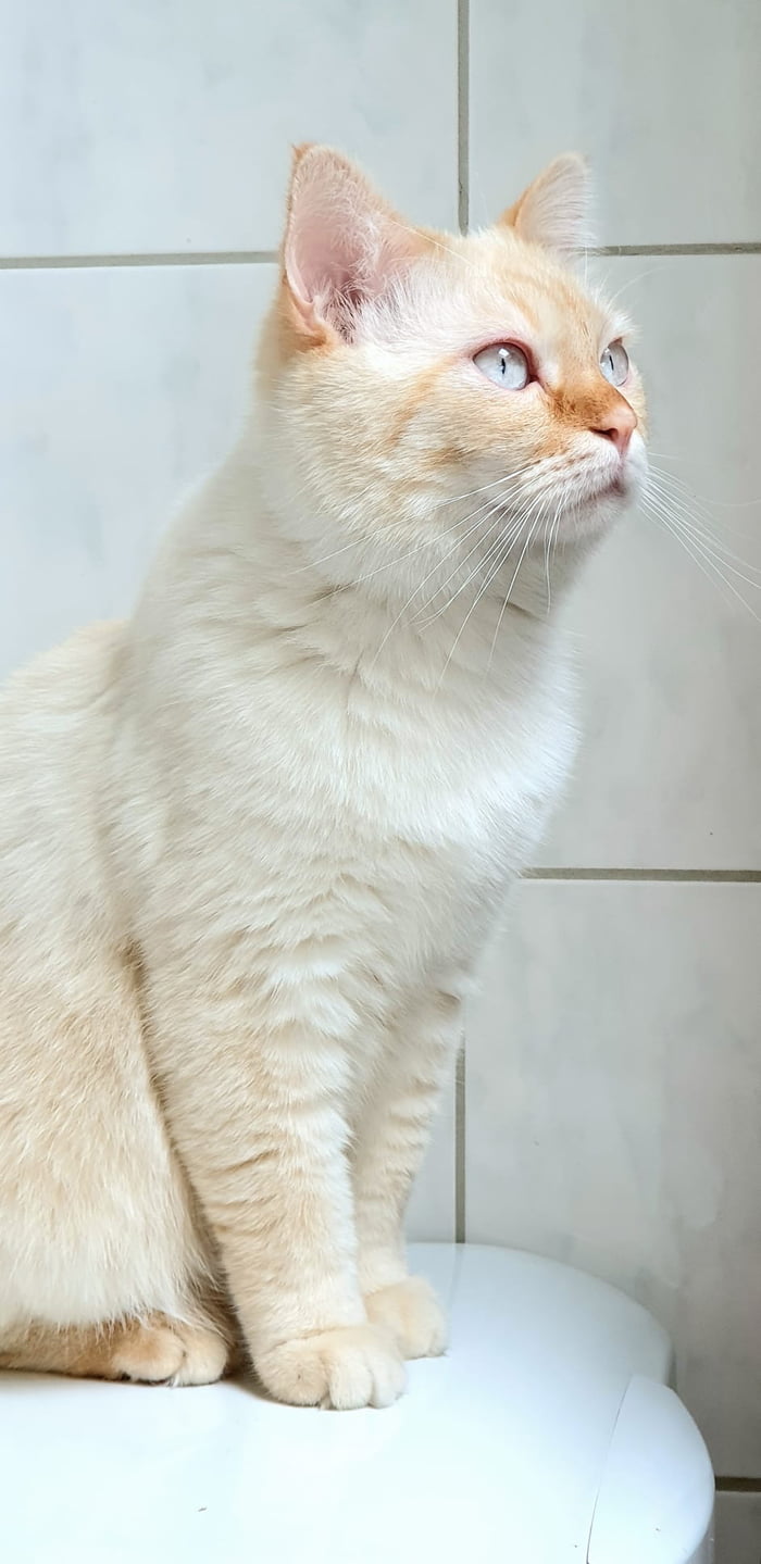 Say hello to Jerry - 9GAG