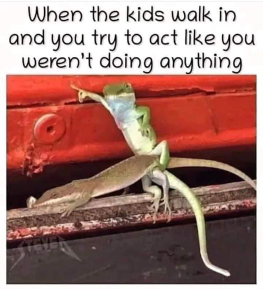 "Sup little guy?.." - 9GAG