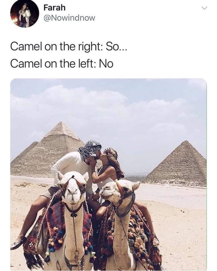 Don't you even! - 9GAG