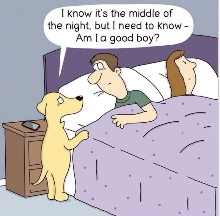 Good boy - 9GAG
