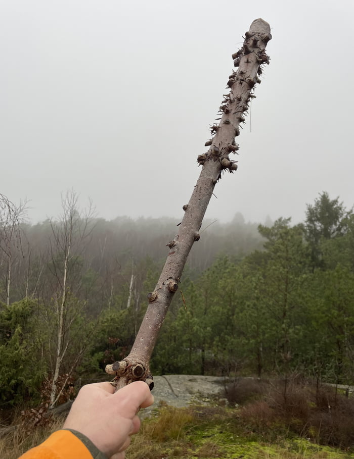 Are we still doing the stick thing? - 9GAG