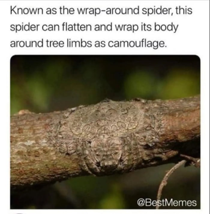 Only Austria things - 9GAG