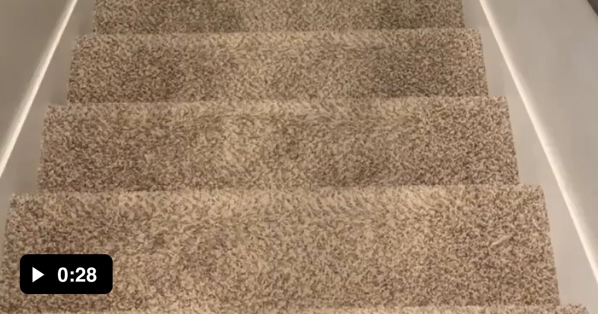 The Perfect Dog Roll Call - 9GAG