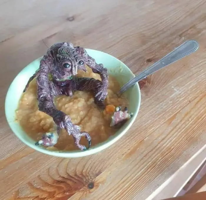 Waiter, there's a fly in my soup - 9GAG