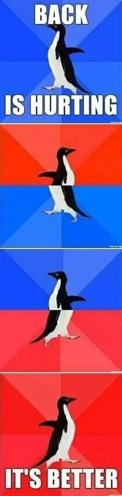 Doesn’t help the sciatica though - 9GAG