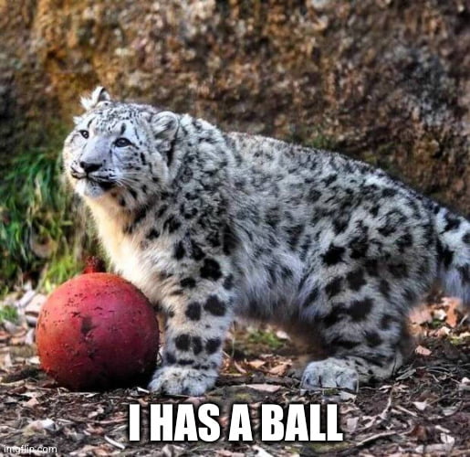 Yes, yes he does. - 9GAG