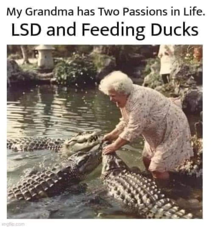 "Look at those snappers" - 9GAG