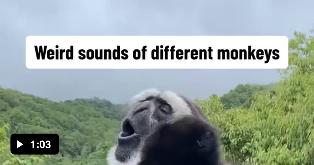 Return to monkeh - 9GAG