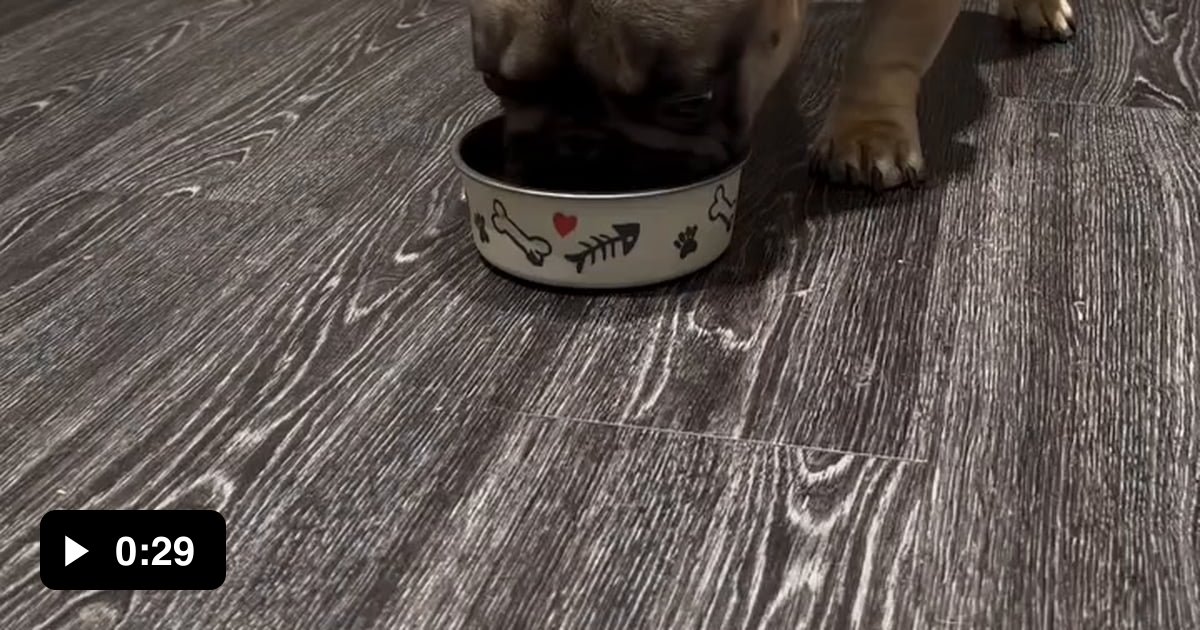 Normal day in Paris - 9GAG