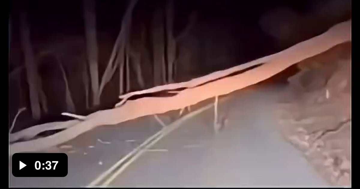 Apes together strong - 9GAG