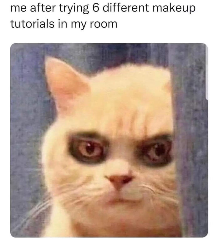 My face after trying to follow a makeup tutorial - 9GAG