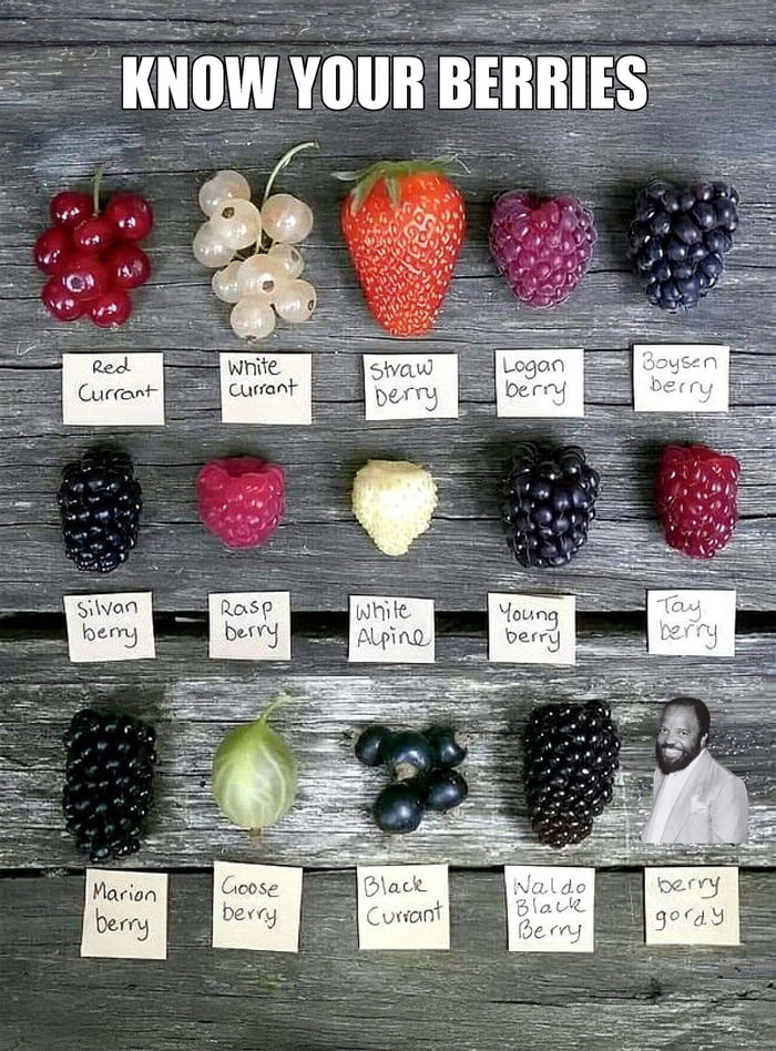 One of these berries looks a little different... - 9GAG