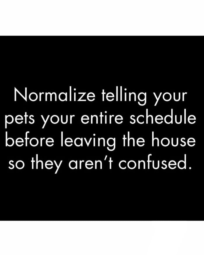 Gotta keep them in the loop. - 9GAG