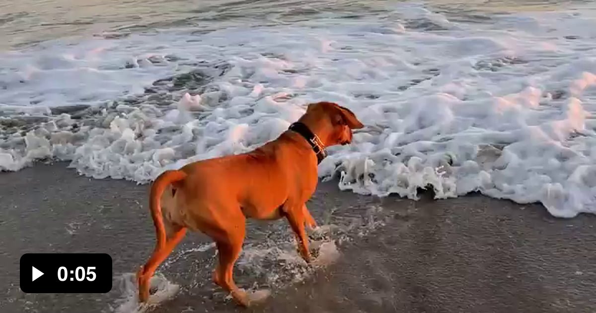 Woah woah woah woah woah - 9GAG