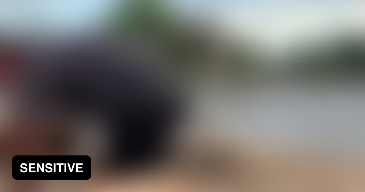 He is a good boi - 9GAG