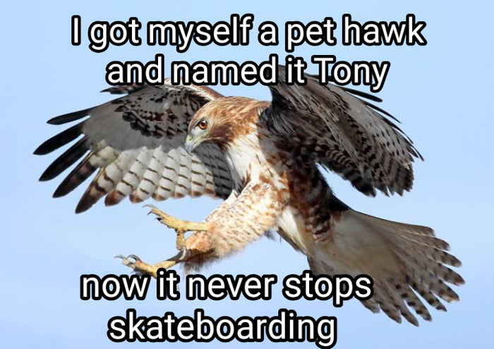 Please someone stop Tony hawk. - 9GAG