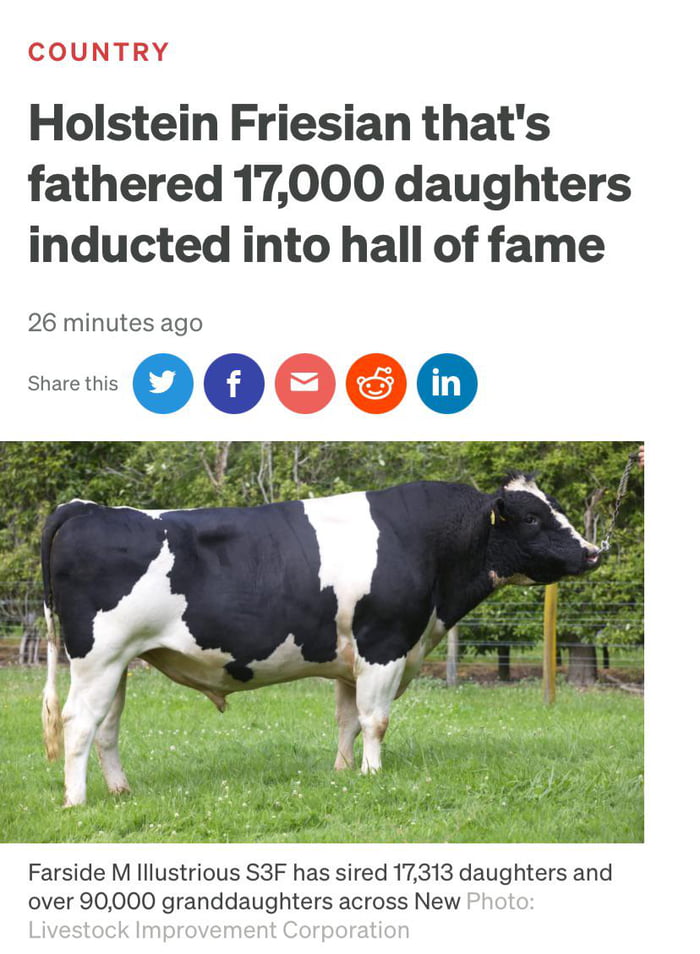 Of a Bull. “Farside M. Illustrious” - 9GAG